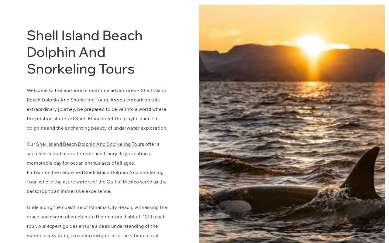 Shell Island Beach Dolphin And Snorkeling Tours